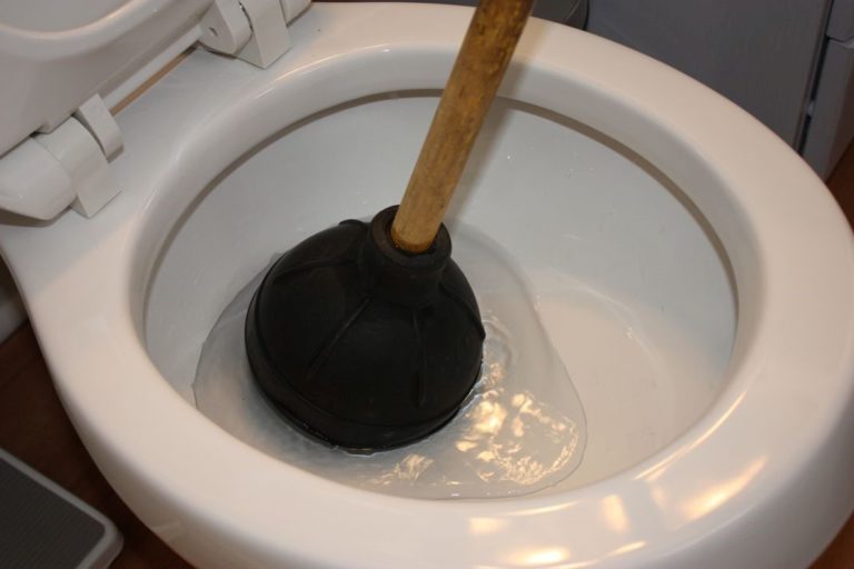 Toilet Bowl Clog Remover Santa Cruz | Unclog Toilet Fast